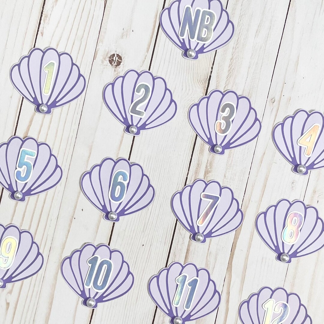 Mermaid Year Milestone Photo Banner, First Year, Monthly Milestone ...