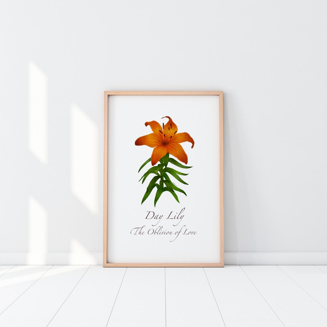 Day Lily Printable Wall Art, Language of Flowers, Floriography Poster ...