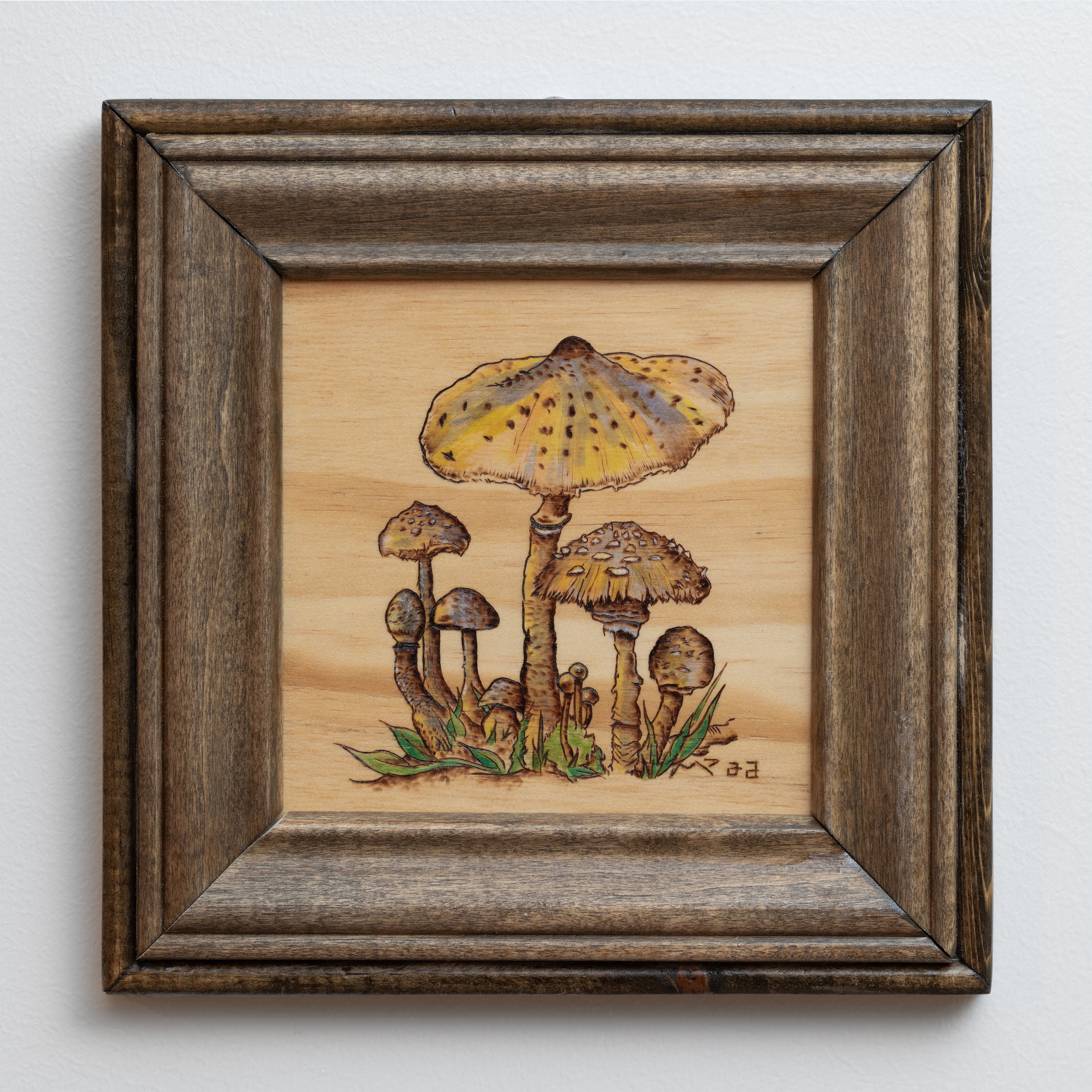 Wood Burned Mushroom Wall Art Pyrography - Etsy