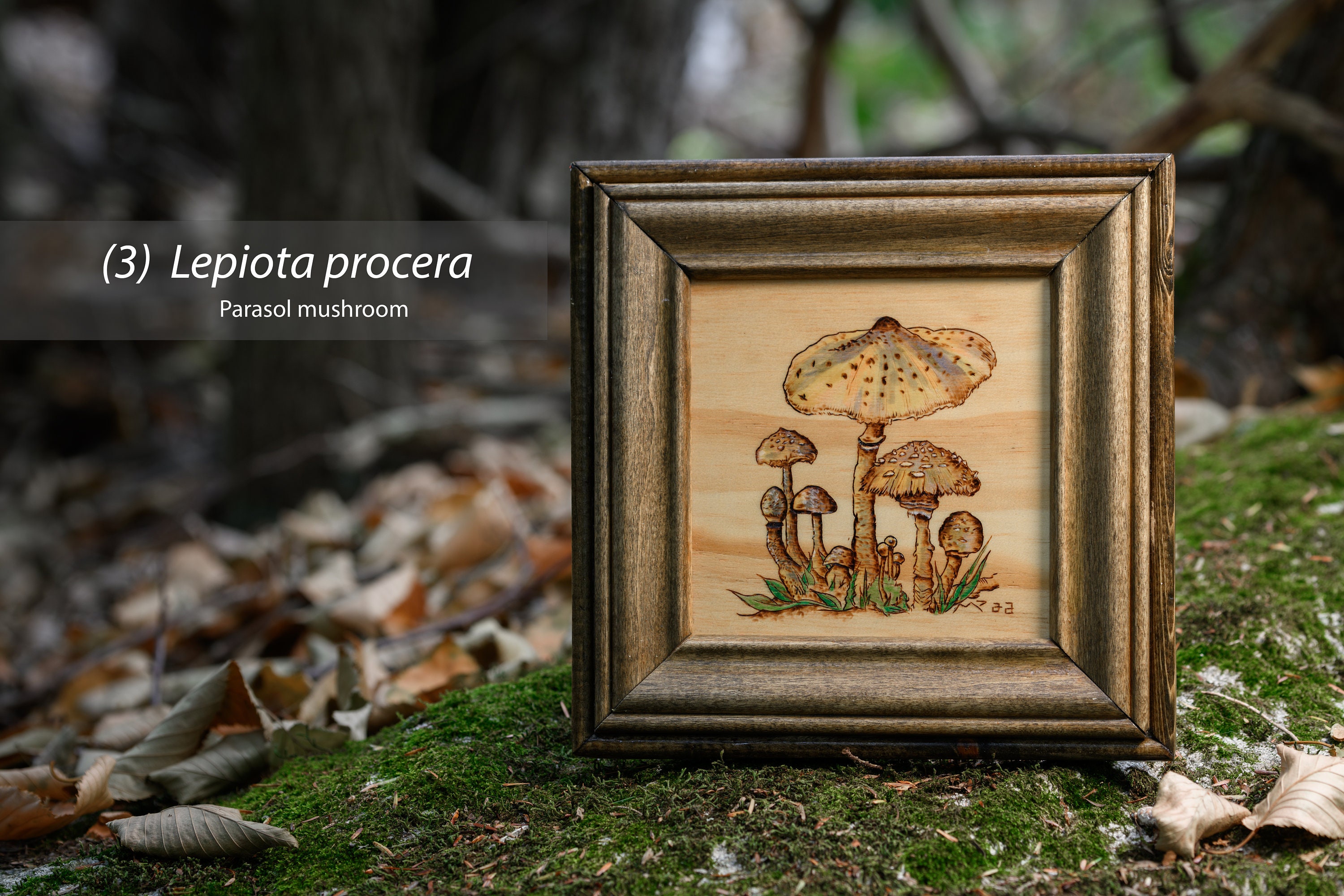 Wood Burned Mushroom Wall Art Pyrography - Etsy