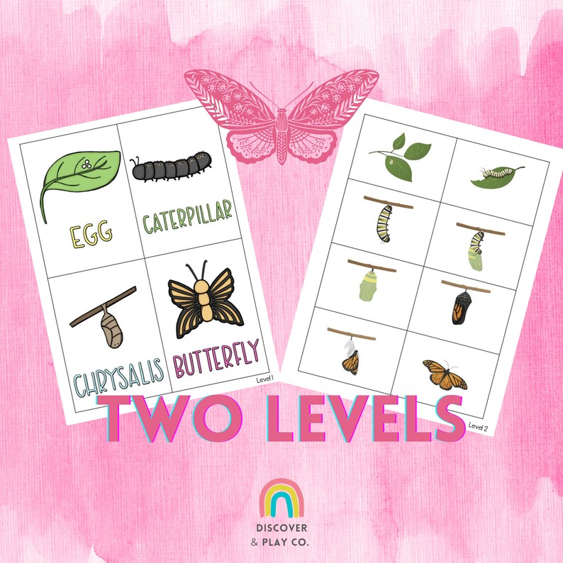 Butterfly Life Cycle Printable PDF | Leveled Life Cycle Sequencing ...