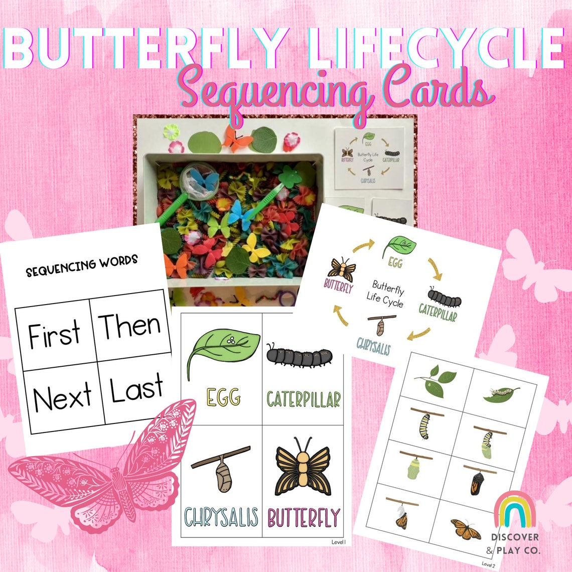Butterfly Life Cycle Printable PDF | Leveled Life Cycle Sequencing ...