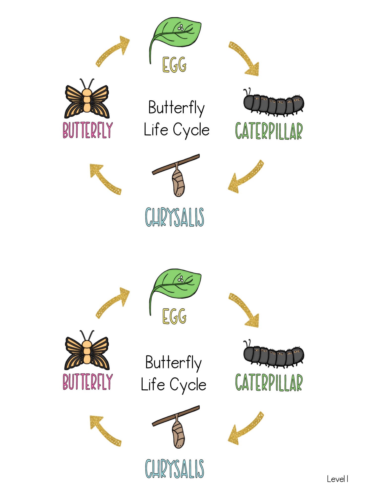 Butterfly Life Cycle Printable PDF Leveled Life Cycle | Etsy