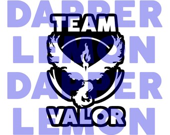 Team Valor - Etsy