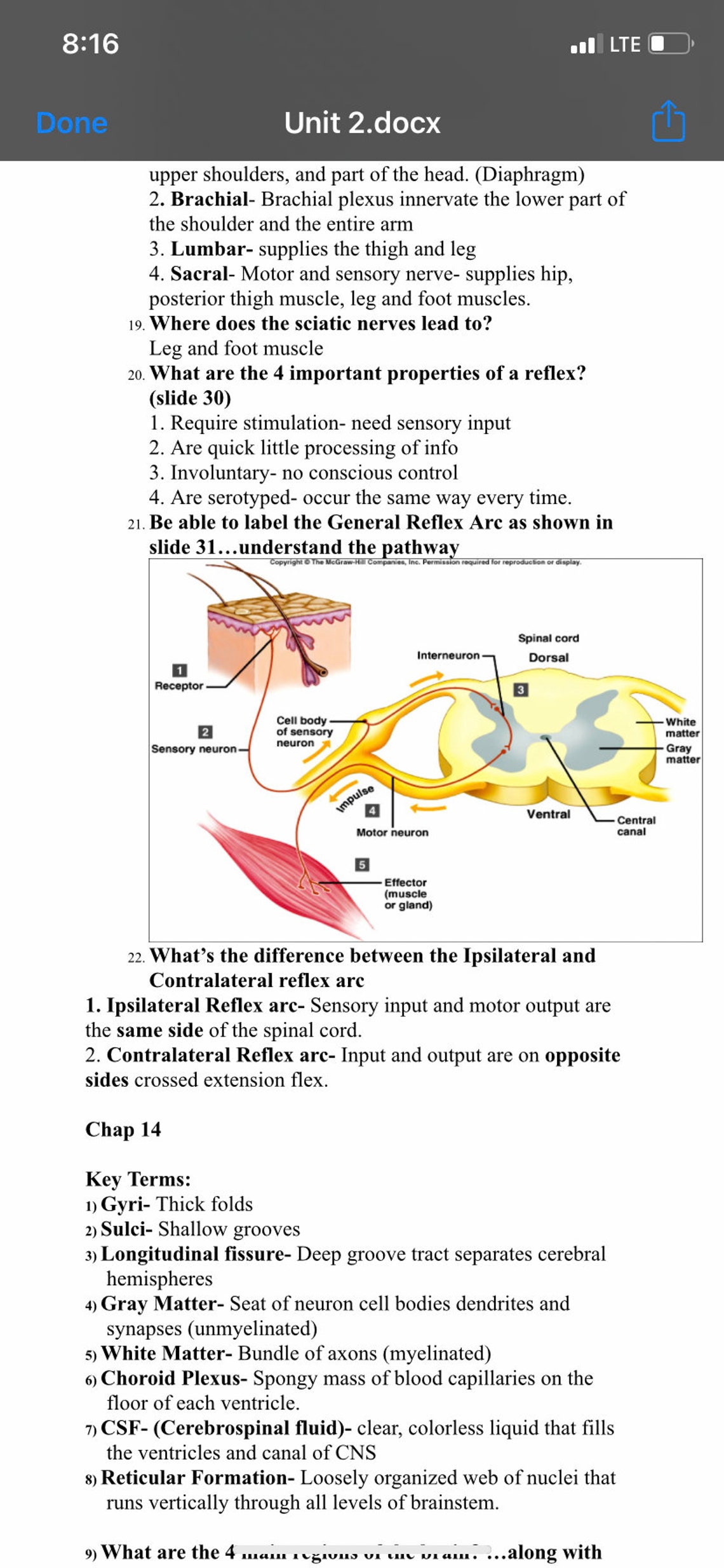 A and P Study Guides - Etsy