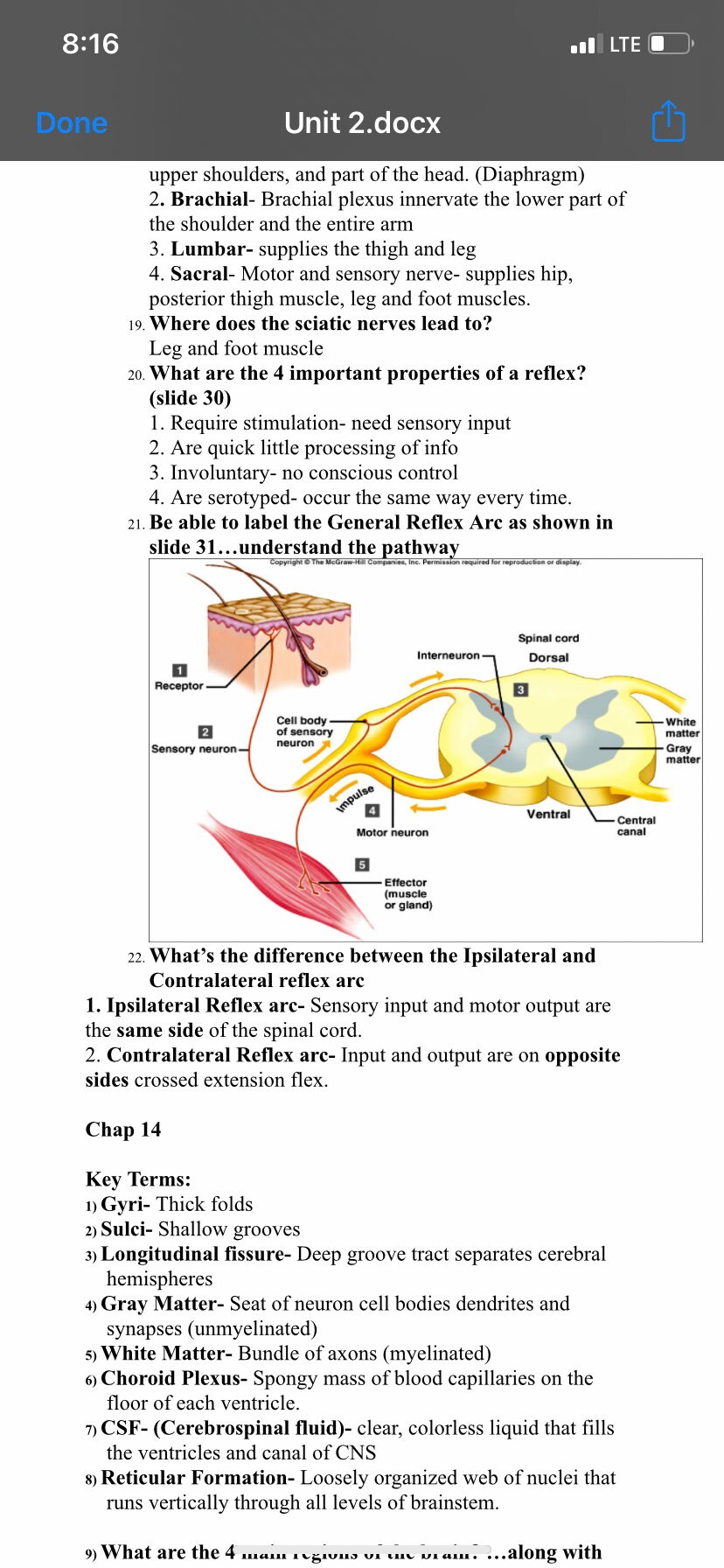 A and P Study Guides - Etsy