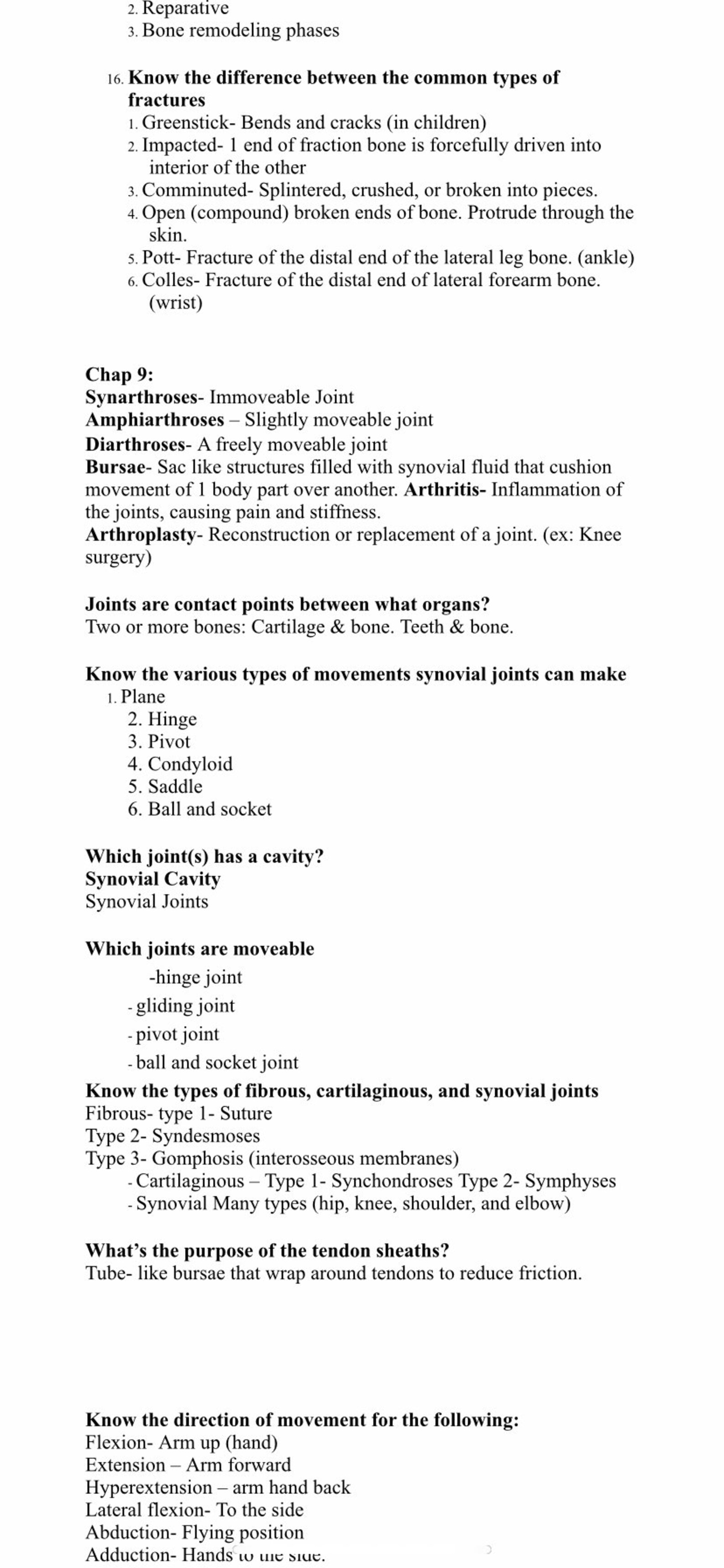 A and P Study Guides - Etsy