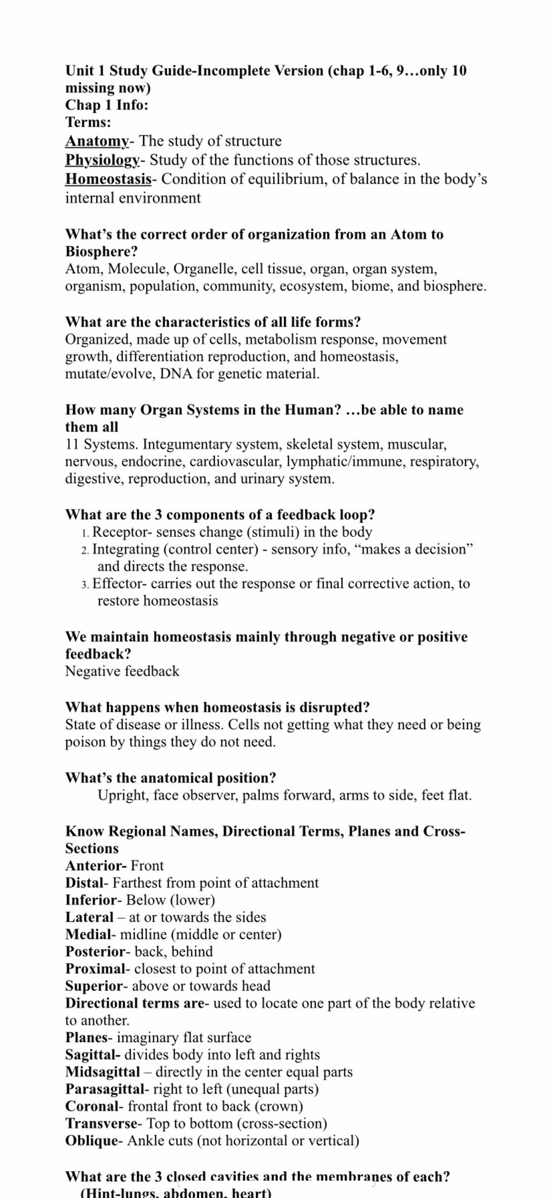 A and P Study Guides - Etsy