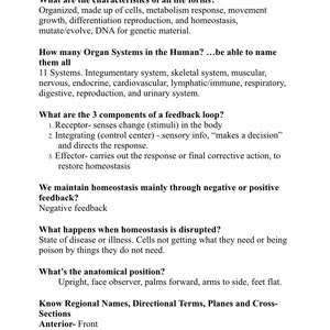 A and P Study Guides - Etsy