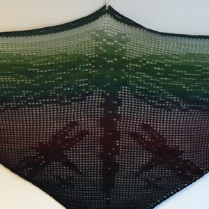 Filet 'dragonfly in Flight' Crochet Chart Pattern for Shawl/wall ...