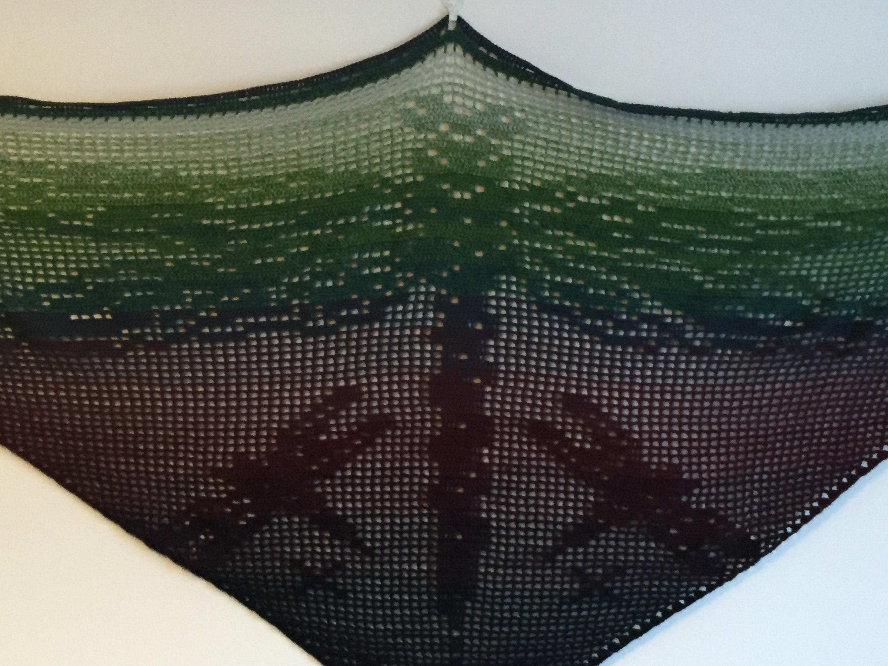 Filet 'dragonfly in Flight' Crochet Chart Pattern for - Etsy