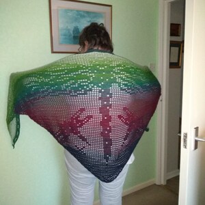 Filet 'dragonfly in Flight' Crochet Chart Pattern for Shawl/wall ...