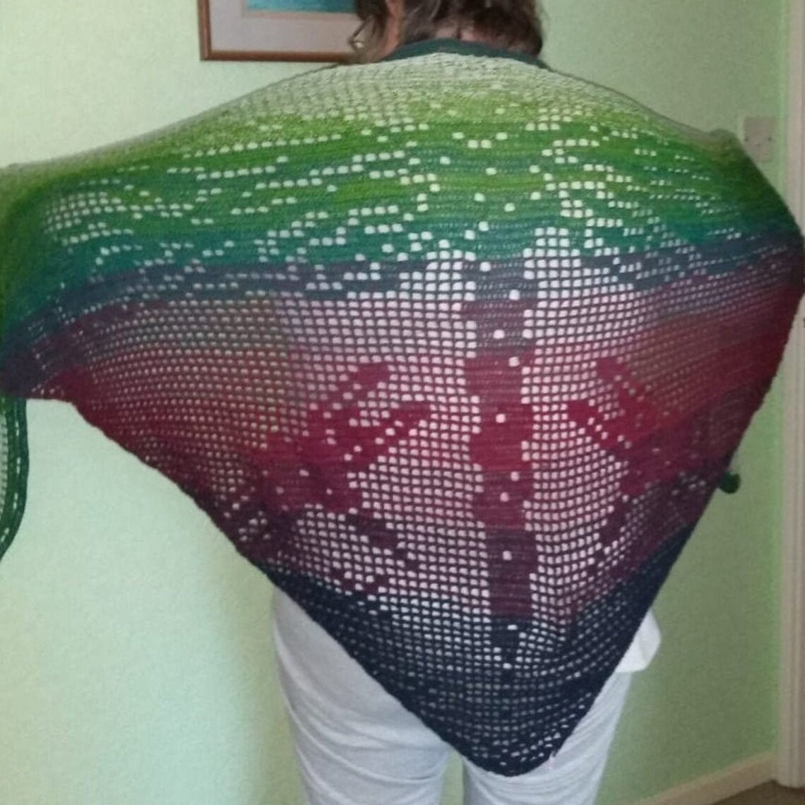 Filet 'dragonfly in Flight' Crochet Chart Pattern for - Etsy