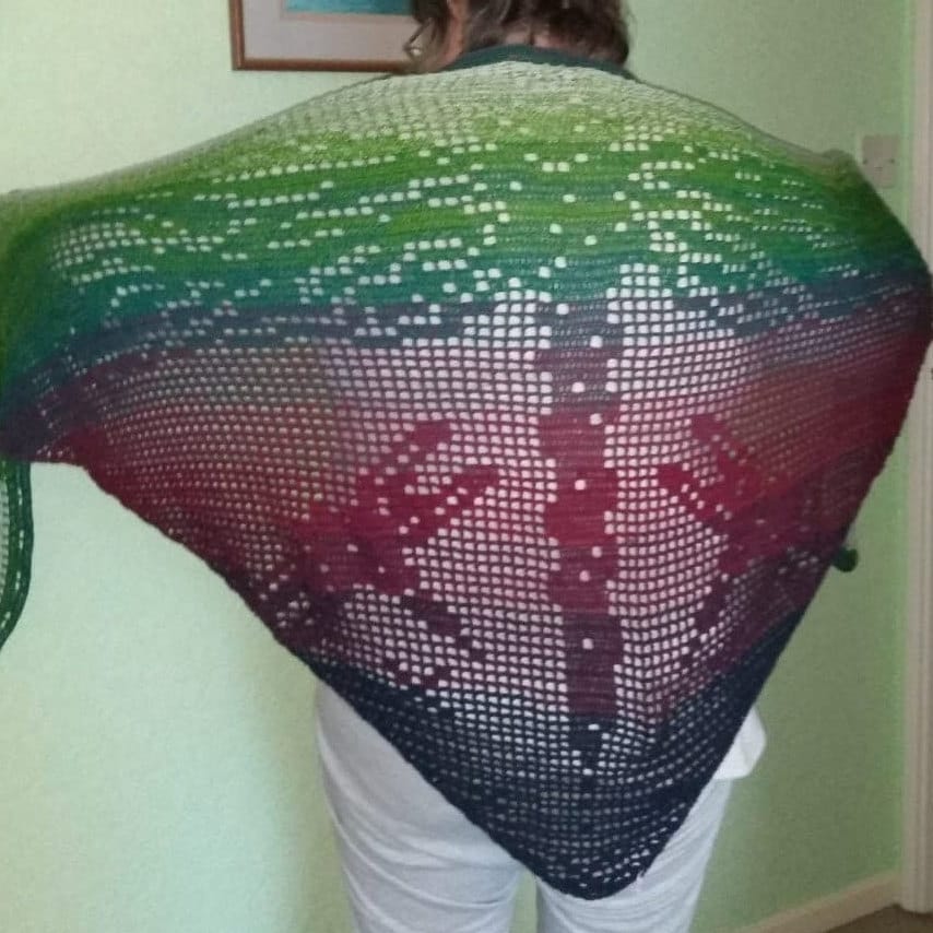 Filet 'dragonfly in Flight' Crochet Chart Pattern for - Etsy