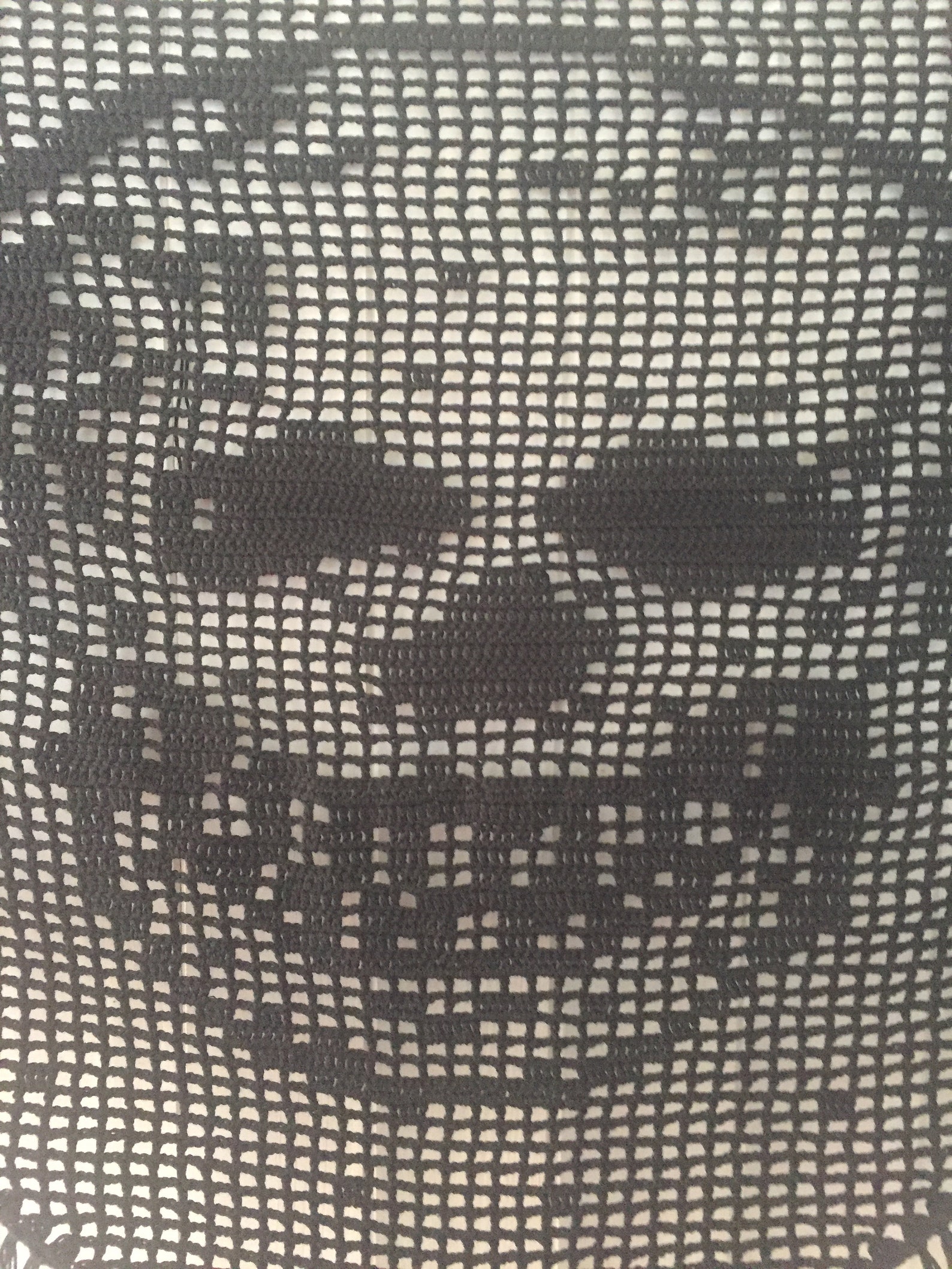 Filet 'skull With Spiders' Crochet Chart Pattern for Shawl/wall Hanging ...