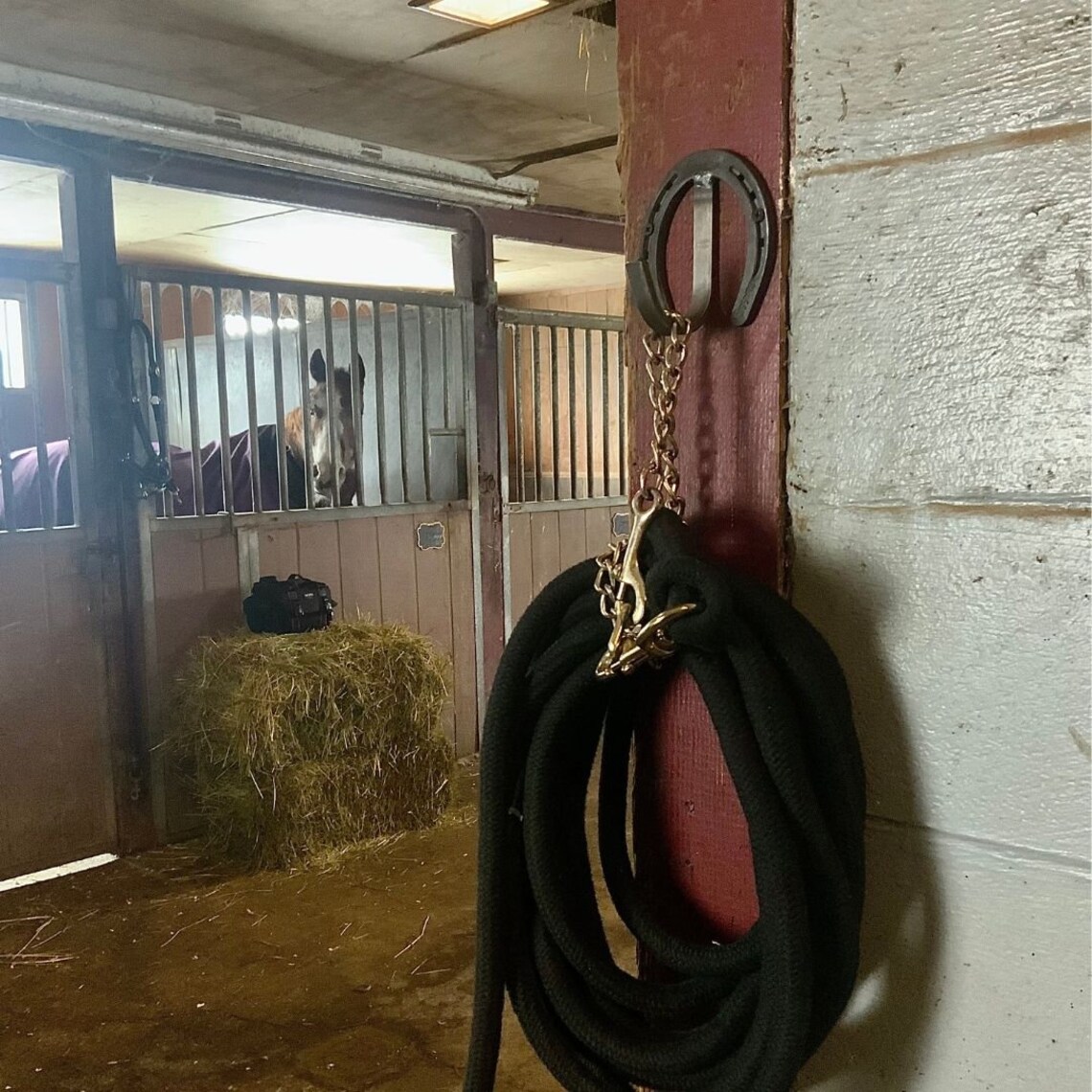 Horseshoe Wall Hook Rustic Barn Hook Barn Horse Tack Hook - Etsy