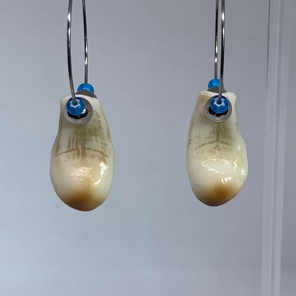 Elk Teeth - Etsy