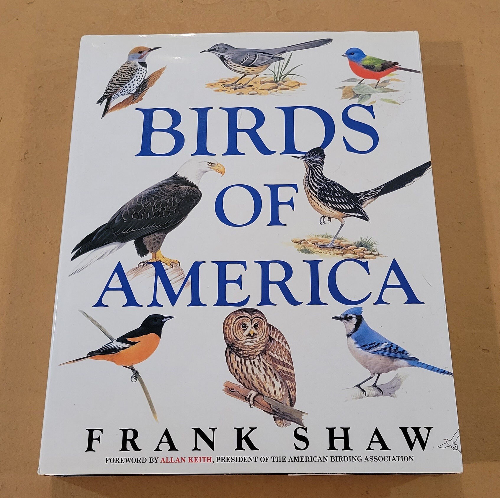 Birds of America Book About Birds in America - Etsy