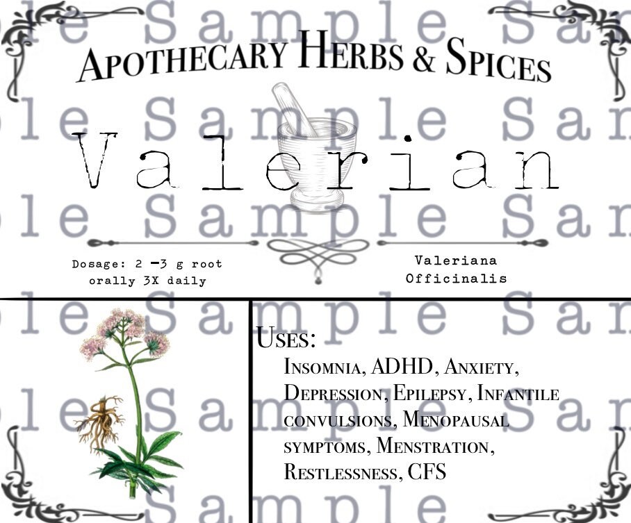 Sedative Apothecary Herb & Spice Label Set 1 - Etsy