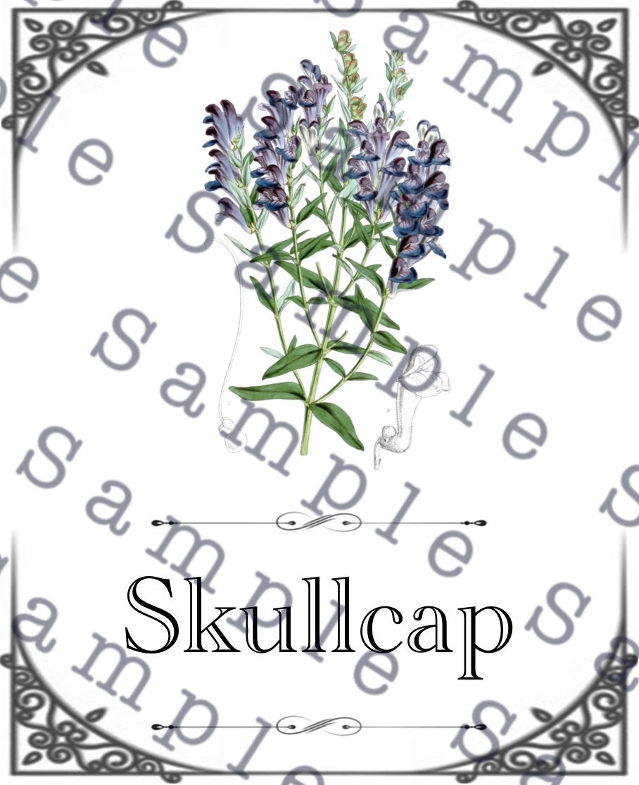 Sedative Apothecary Label Set 1 - Etsy