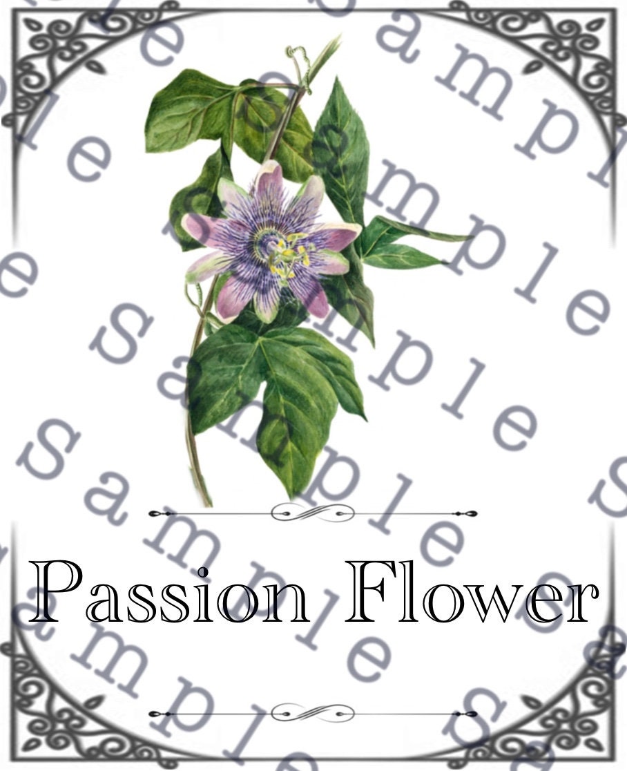 Sedative Apothecary Label Set 1 - Etsy