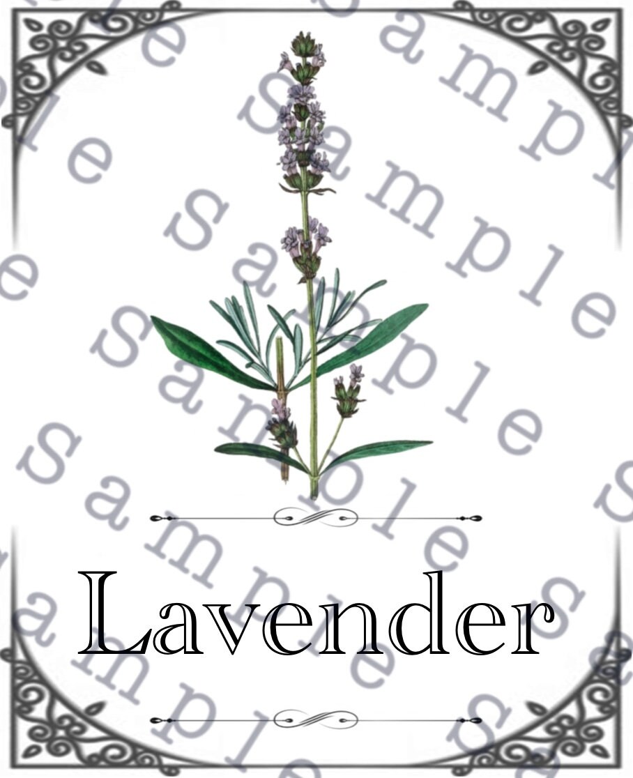 Sedative Apothecary Label Set 1 - Etsy