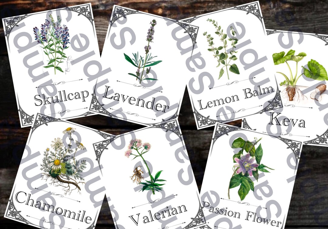 Sedative Apothecary Label Set 1 - Etsy