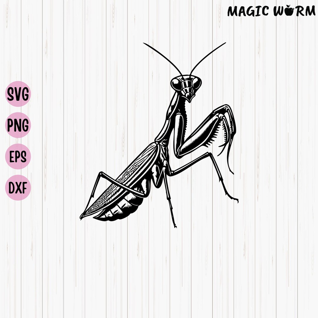 Praying Mantis SVG, Mantis Svg, Insect Silhouette, Bugs Svg, Mantis ...