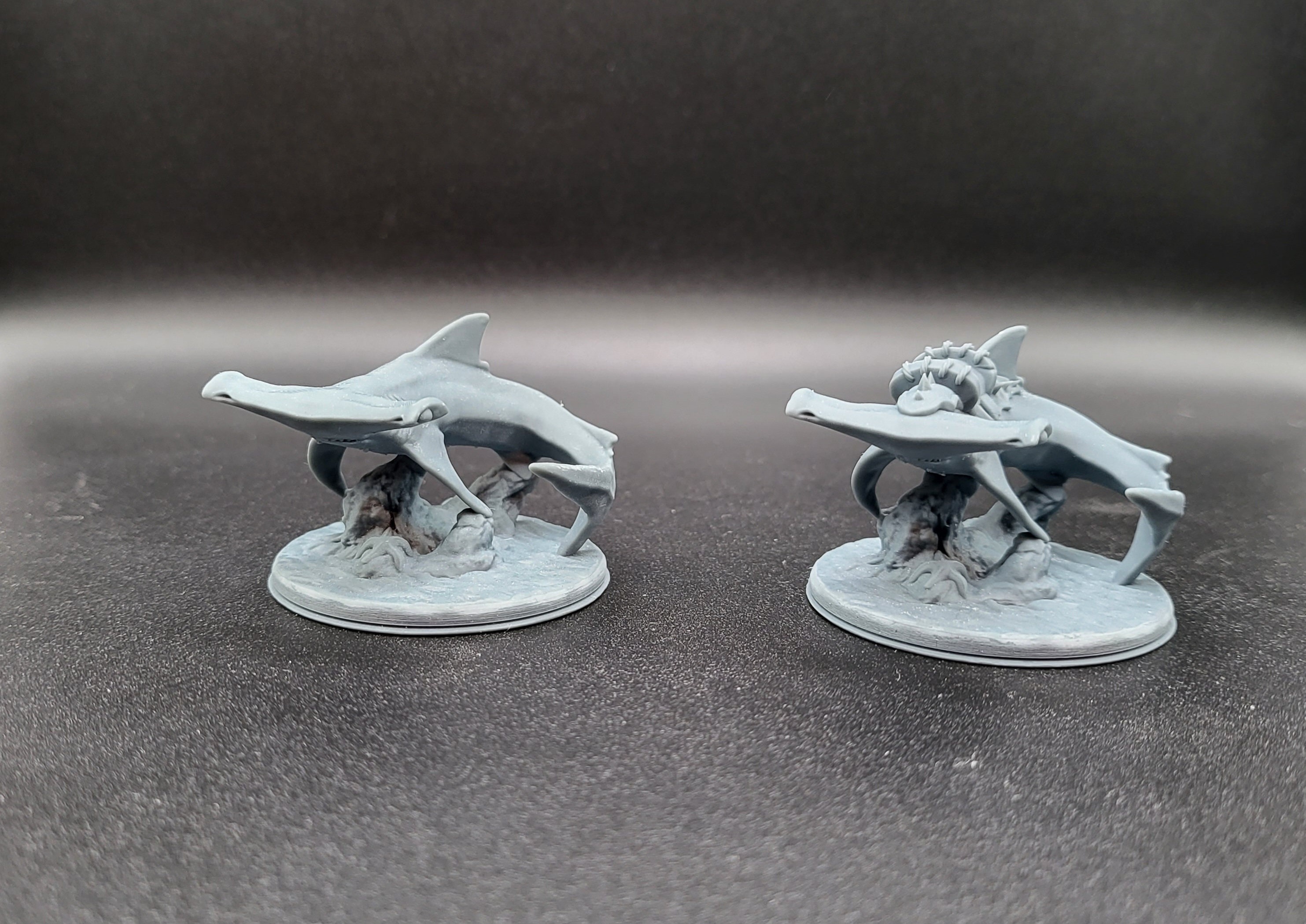 Hammerhead Mini, Hammerhead Mount, Shark, Shark Mount, Ocean Mount, Sea ...