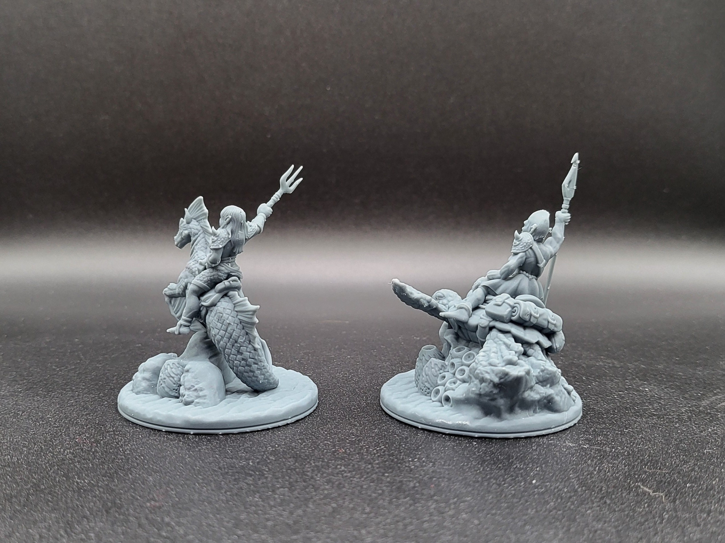 Elven Riders, Elven Knights, Mounted, Giant Turtle, Hippocampus, Sea ...