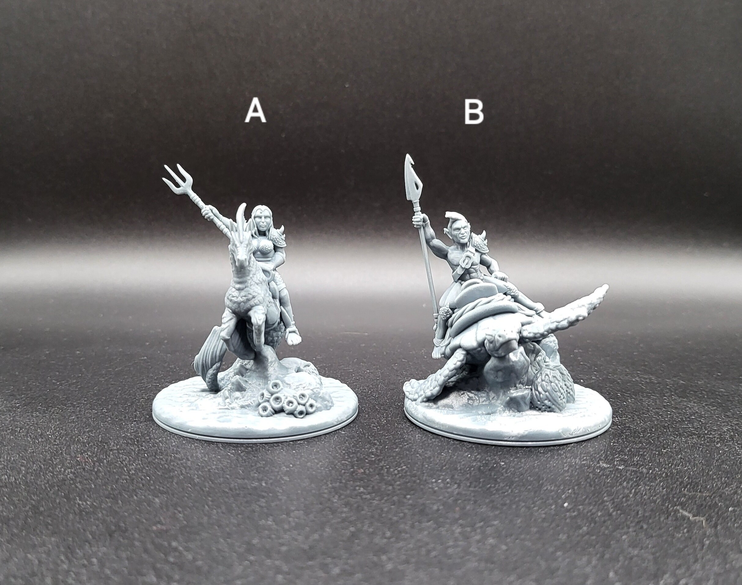 Elven Riders, Elven Knights, Mounted, Giant Turtle, Hippocampus, Sea ...
