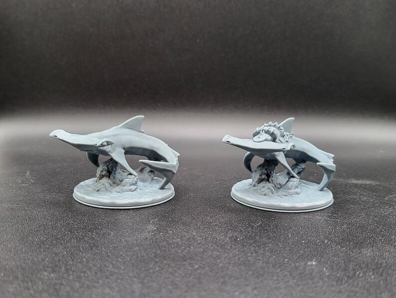 Hammerhead Mini, Hammerhead Mount, Shark, Shark Mount, Ocean Mount, Sea ...