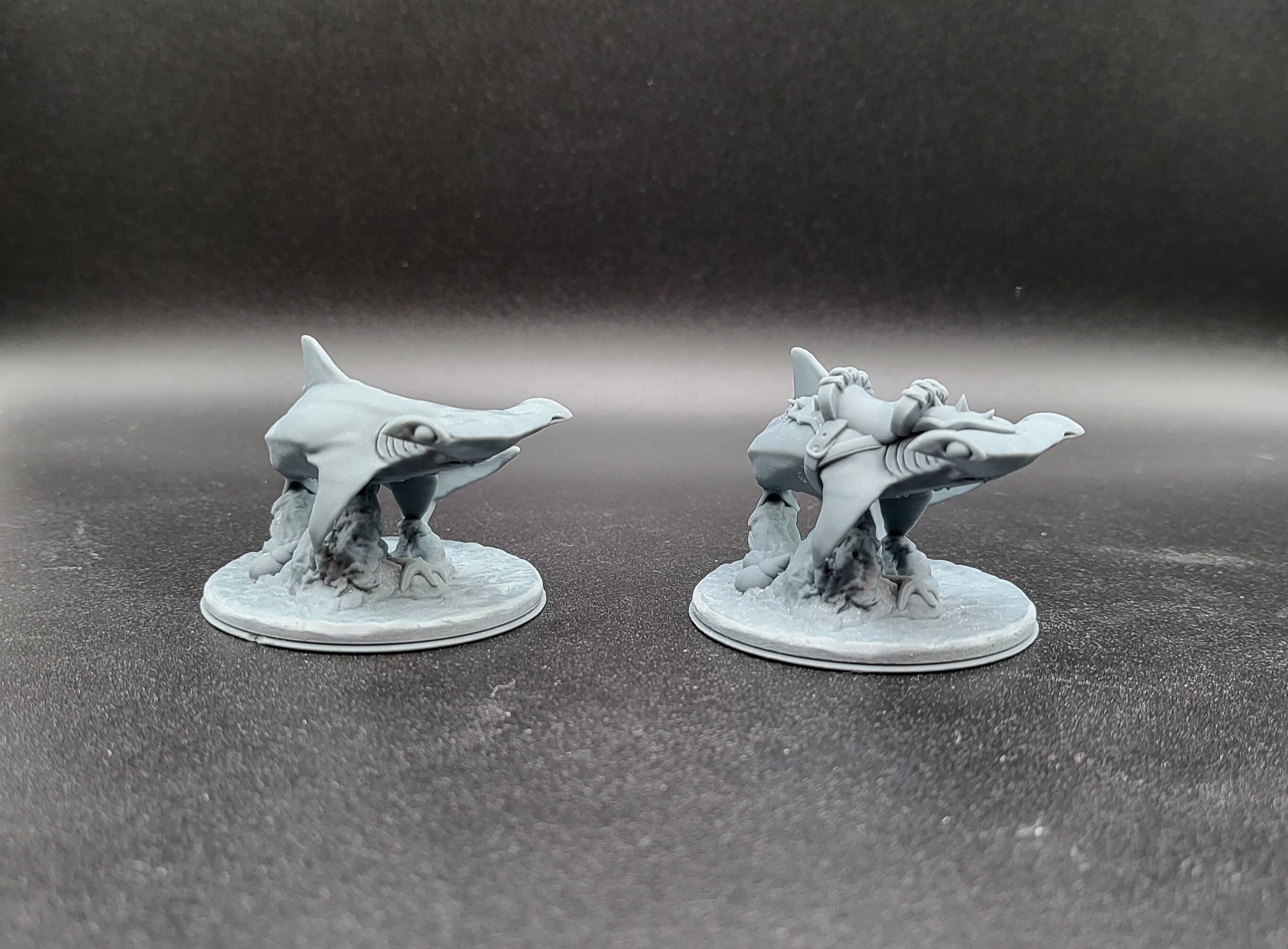 Hammerhead Mini, Hammerhead Mount, Shark, Shark Mount, Ocean Mount, Sea ...