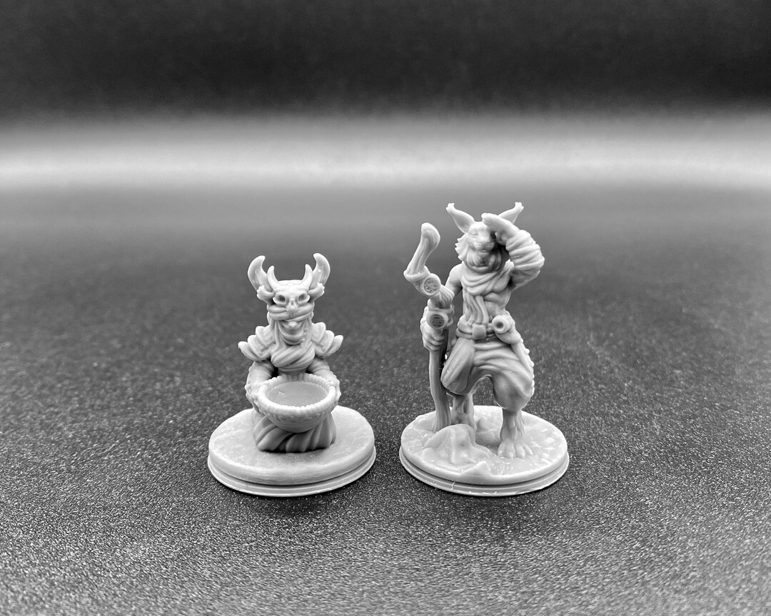 Catfolk Tabaxi Druid Guide Miniature for DND or Tabletop Gaming, 28mm D ...