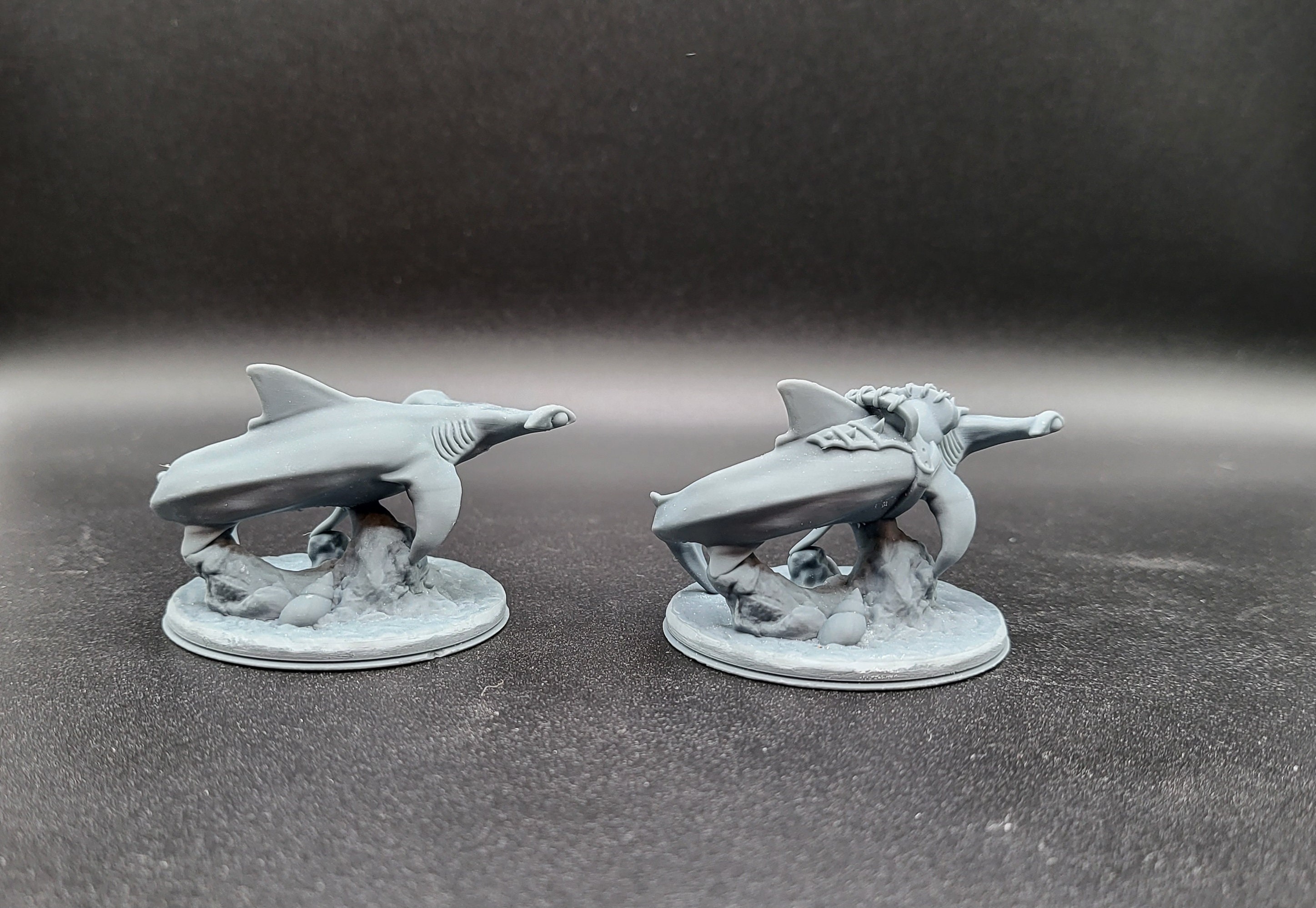 Hammerhead Mini, Hammerhead Mount, Shark, Shark Mount, Ocean Mount, Sea ...