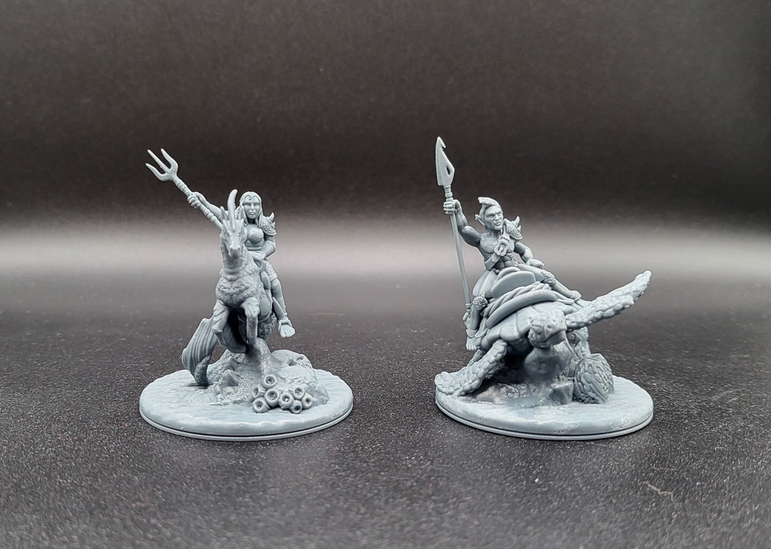 Elven Riders, Elven Knights, Mounted, Giant Turtle, Hippocampus, Sea ...