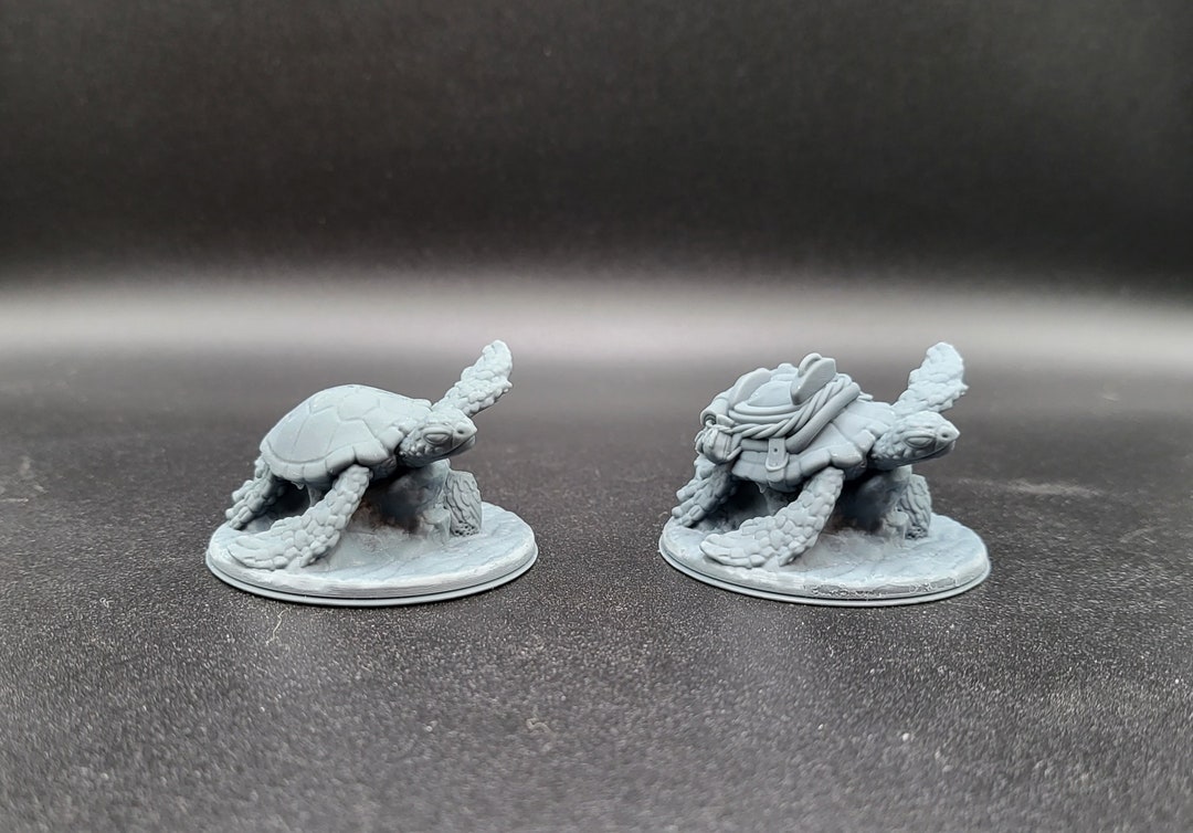 Sea Turtle, Giant Turtle, Turtle Mount, Sea Mount, Ocean Mount, Mount ...