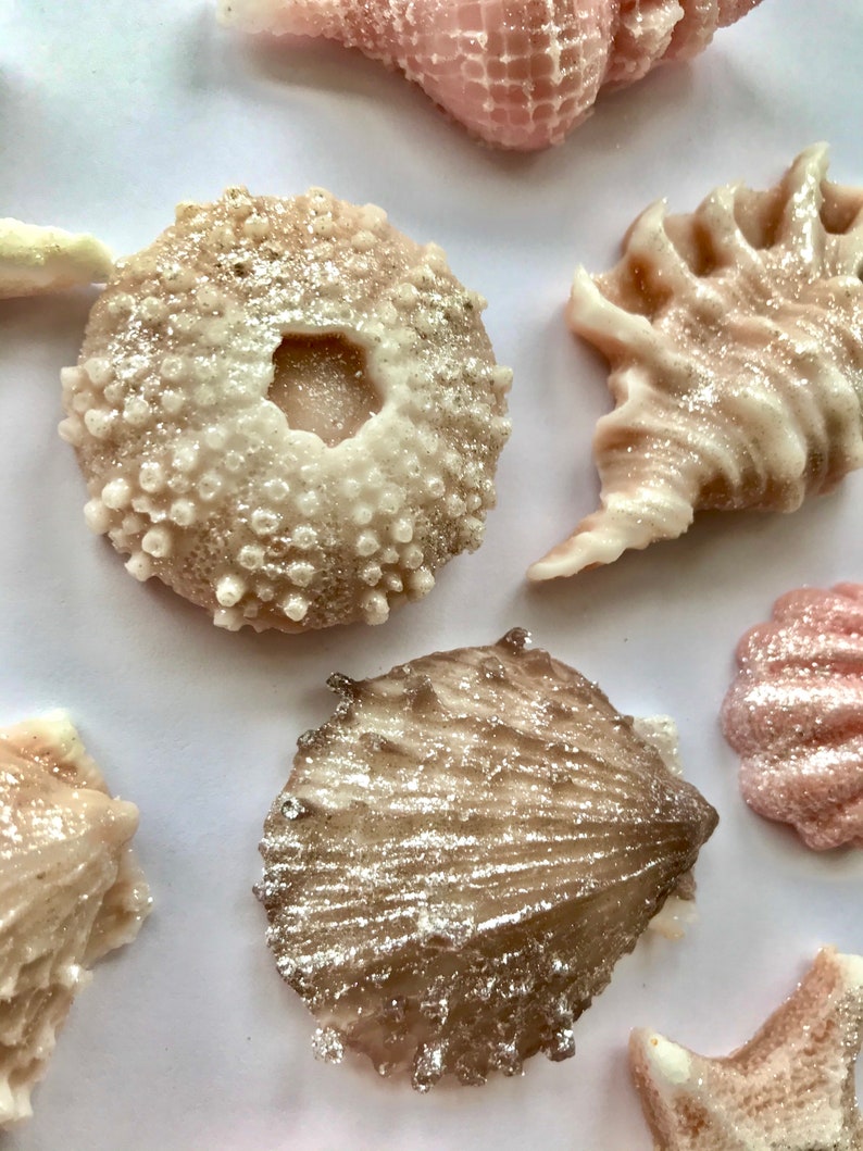 SEASHELL SOAP SET 10 Pieces - Etsy