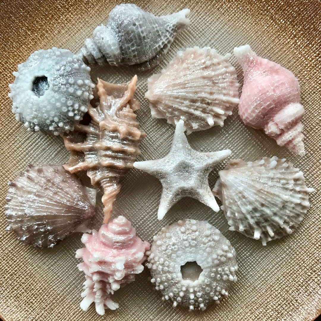 SEASHELL SOAP SET- 10 Pieces - Etsy
