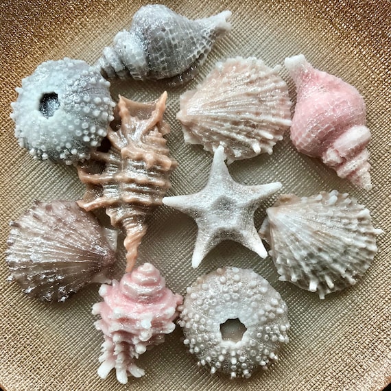 SEASHELL SOAP SET 10 Pieces - Etsy