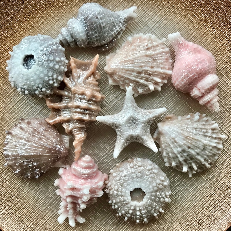 Sea Shell Soap - Etsy