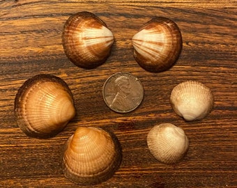 Splash Gel Spectral Blue Paste Texture Imitation Effect Hobby Modelling ...