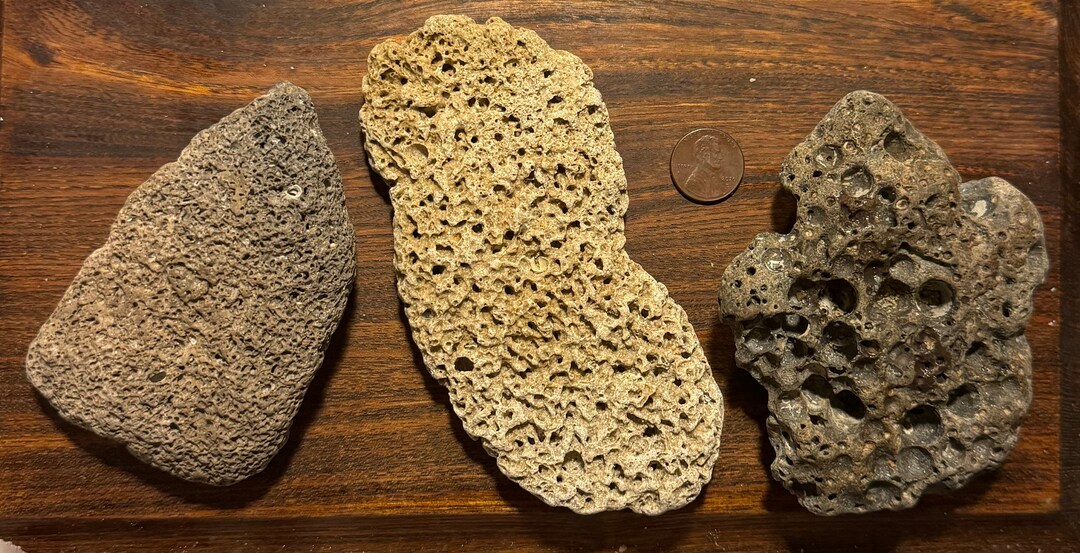 Three Porous Ocean Rocks - Etsy