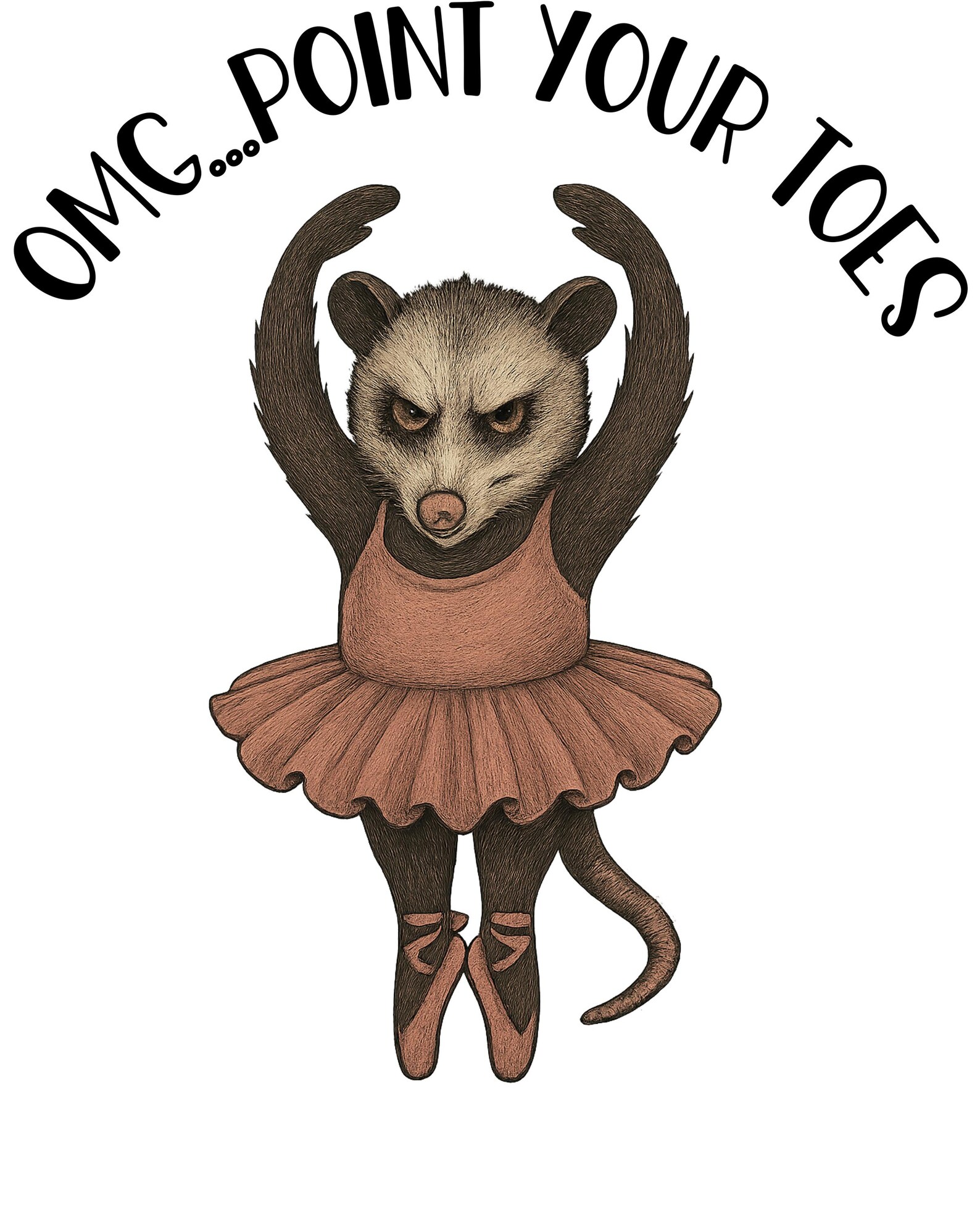 OMG Pointe Your Toes Possum Art - Cute Dance Teacher Digital Download ...