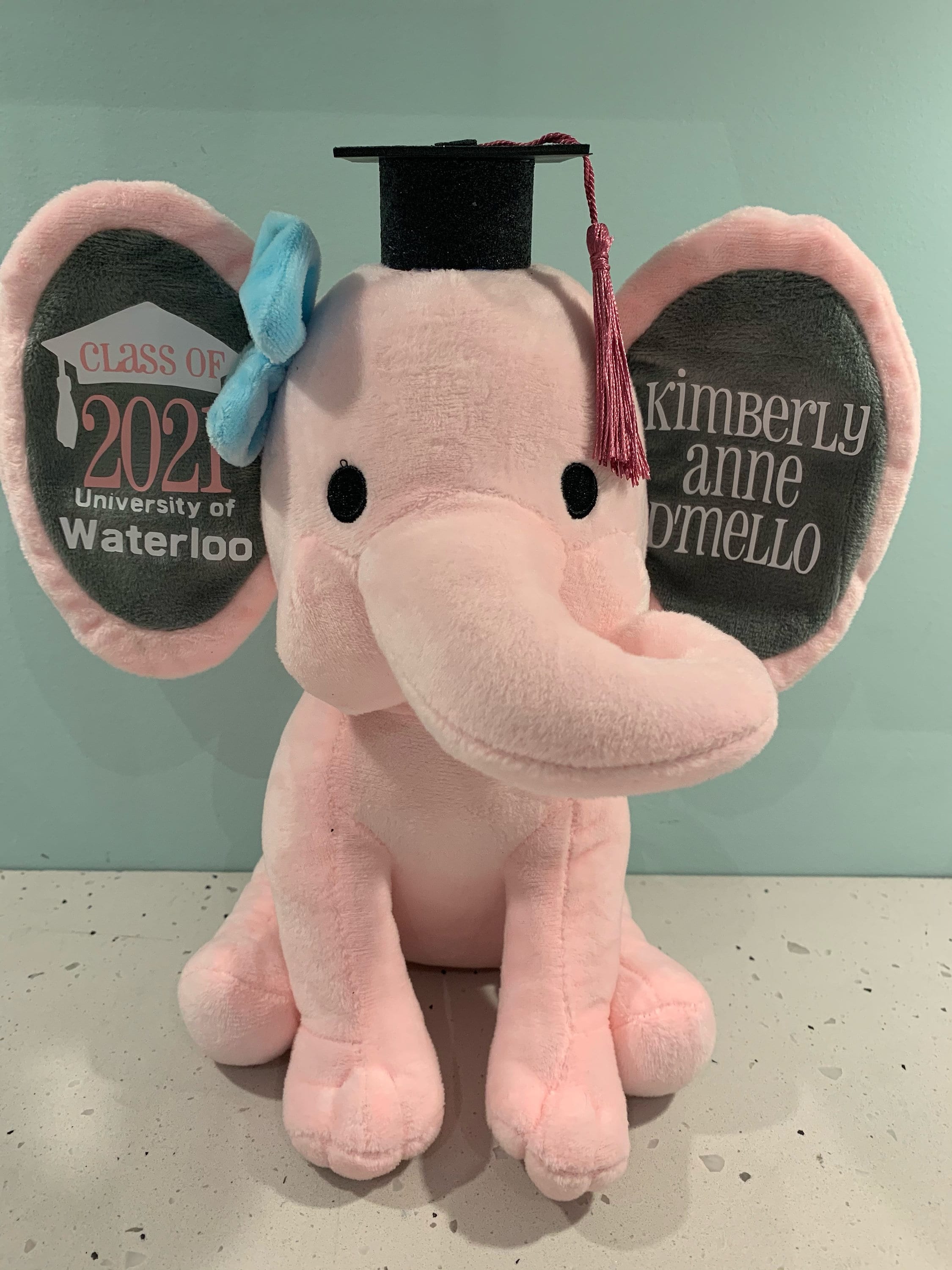 Graduation Elephant Plush Graduation Class Of... - Etsy Australia