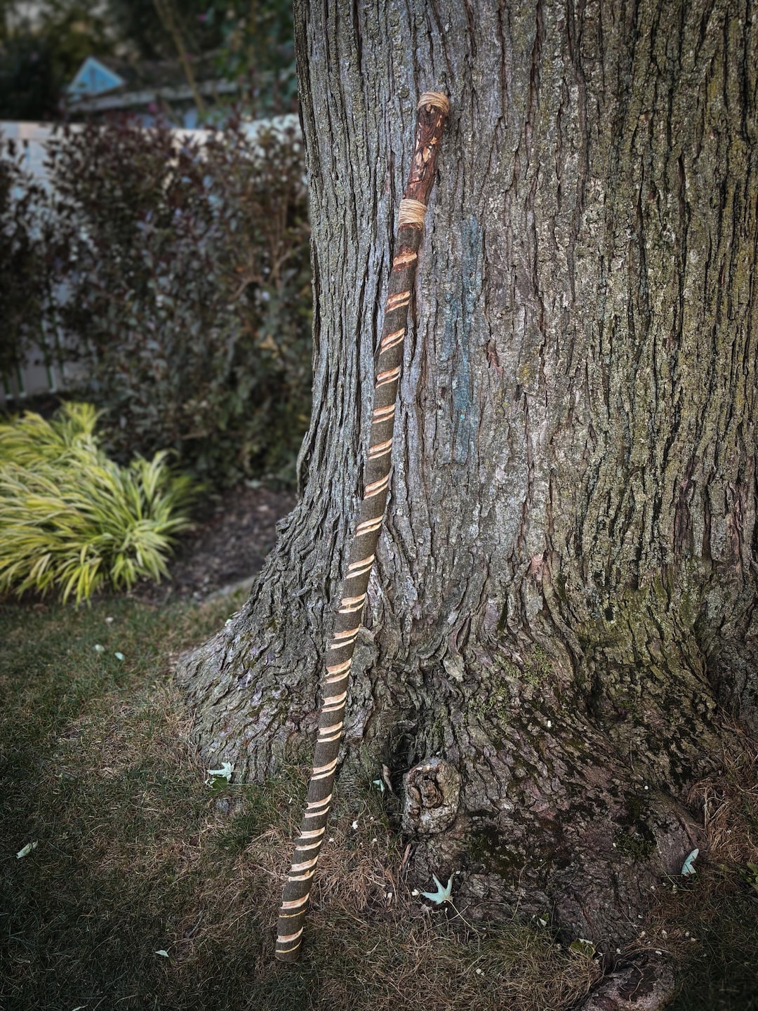 Handcarved Walking Stick - Etsy