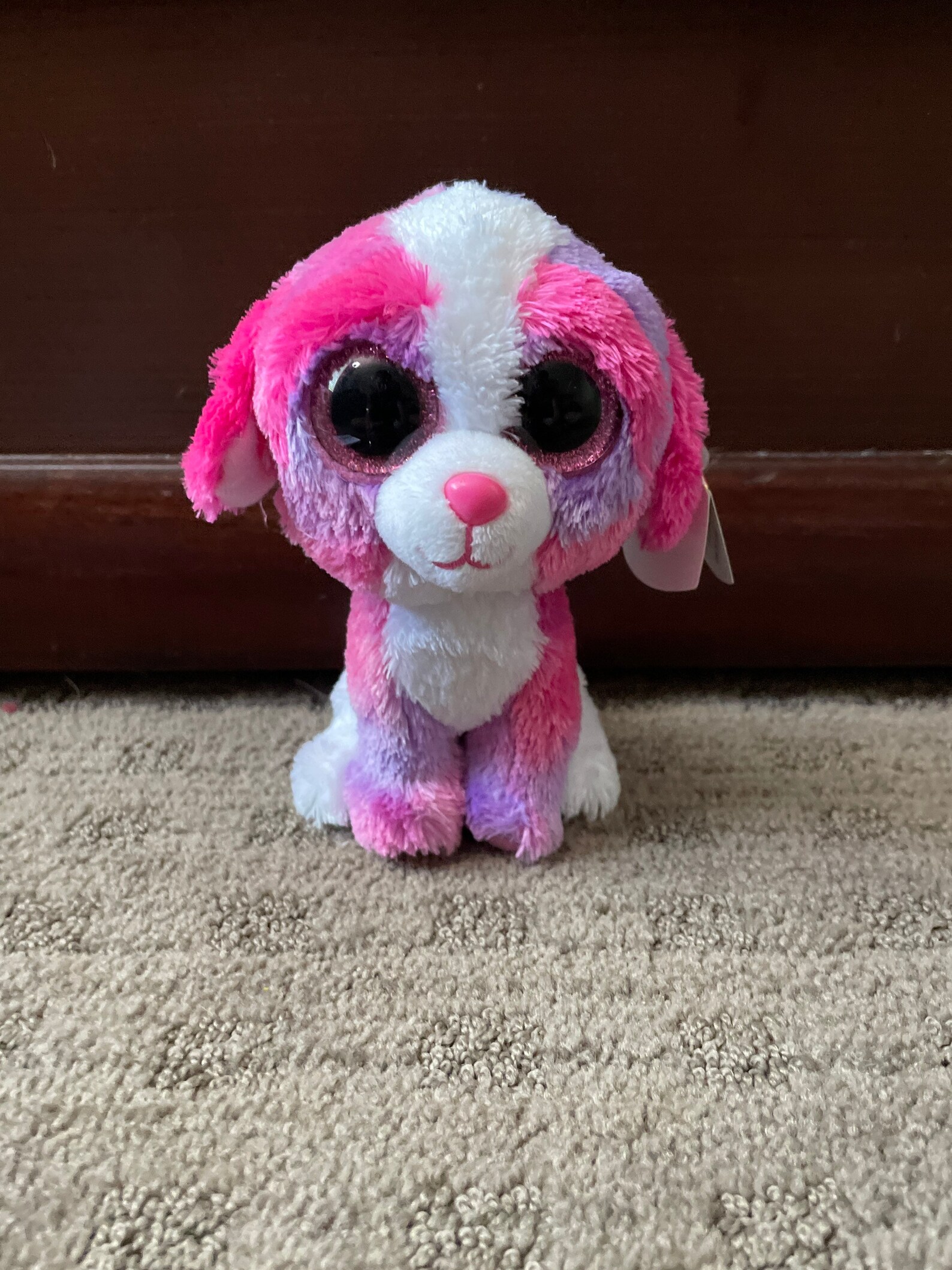 Ty 6 Beanie Boo Sherbet the Dog | Etsy