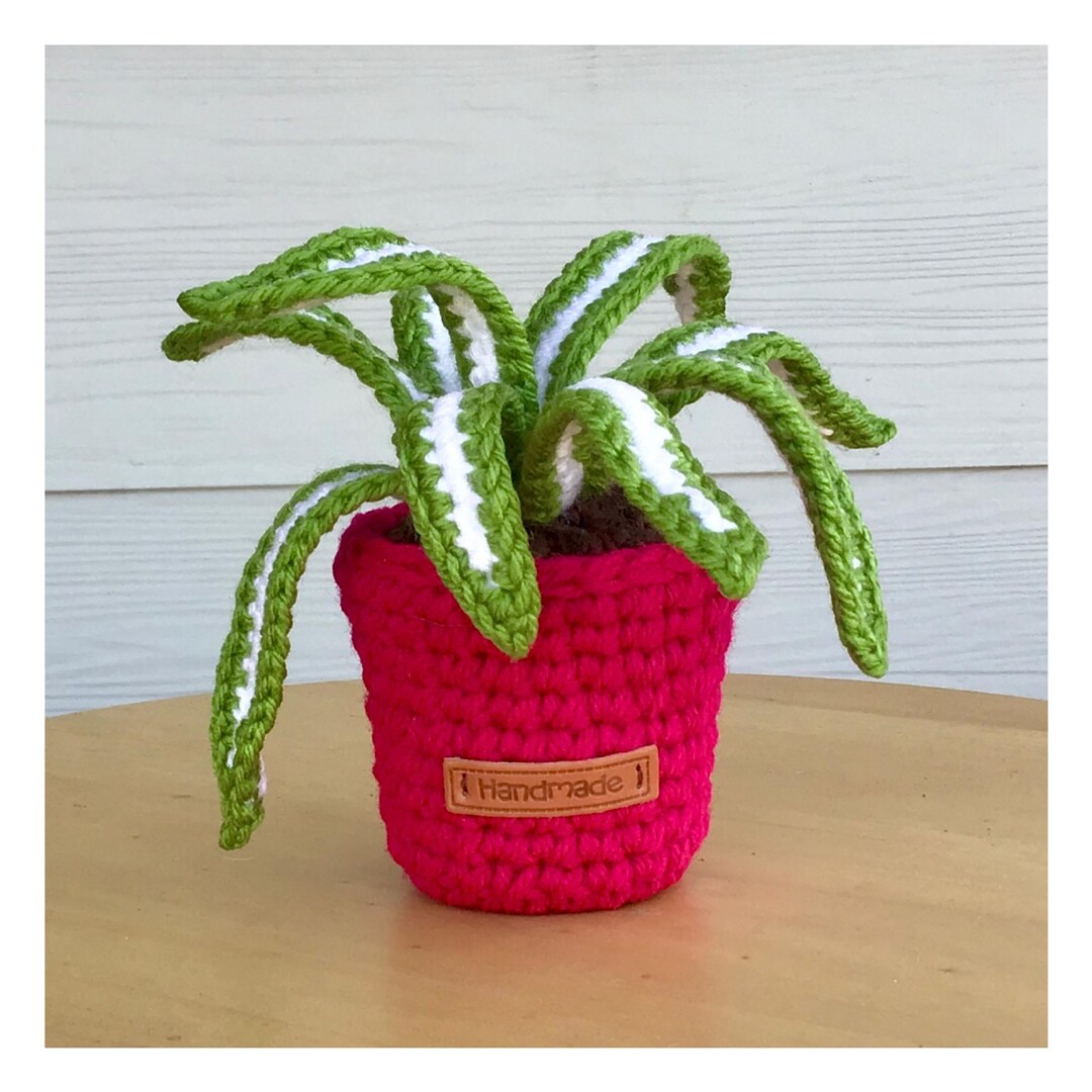 Mini Spider Plant in Pot Crochet Gift, Indoor Plant for Home, Office ...