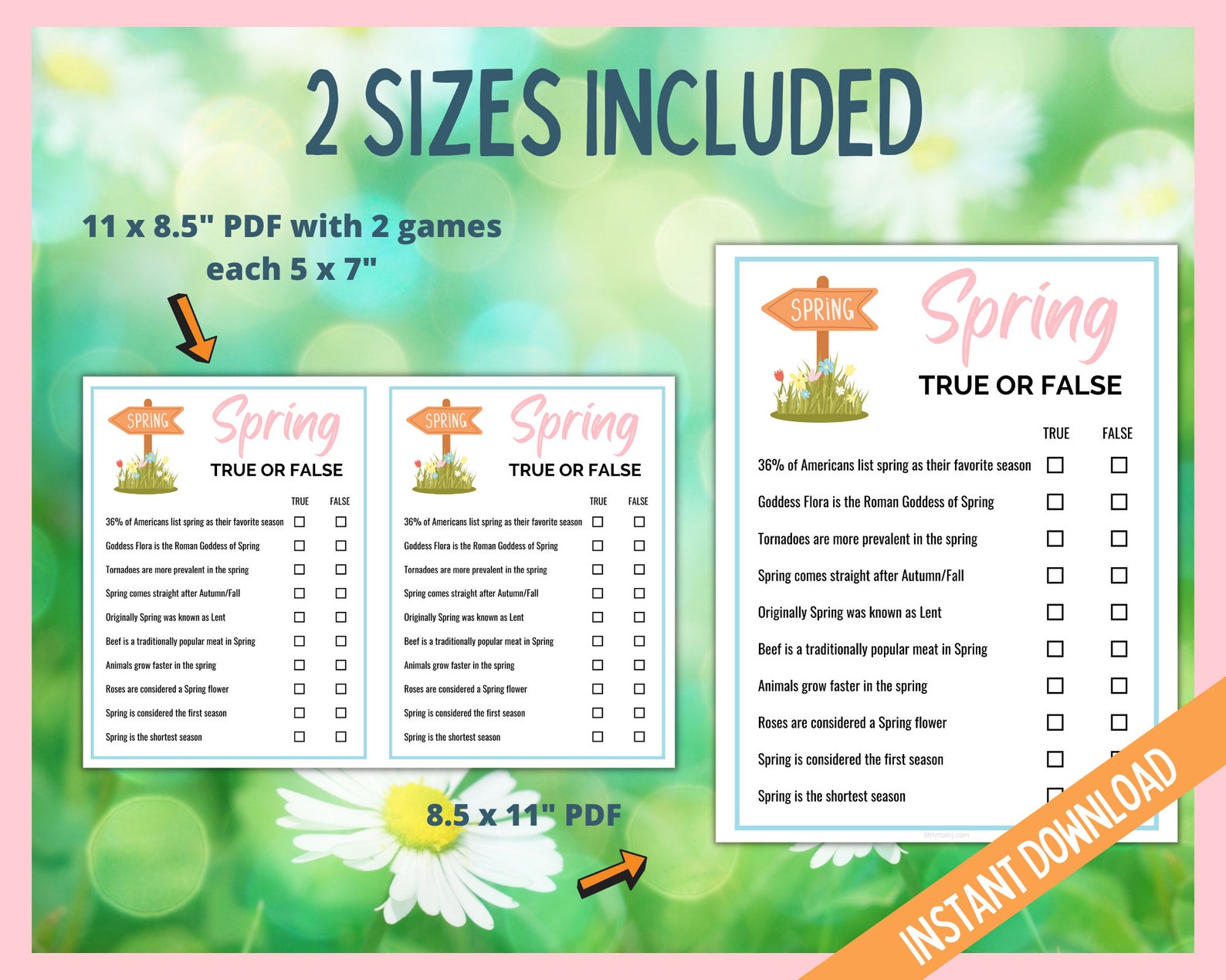 Spring True or False Trivia Game Fun Family Party Games - Etsy