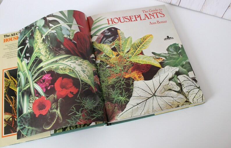 Vintage 70s the Color Guide to Houseplants Book Succulents 1977 // MCM ...
